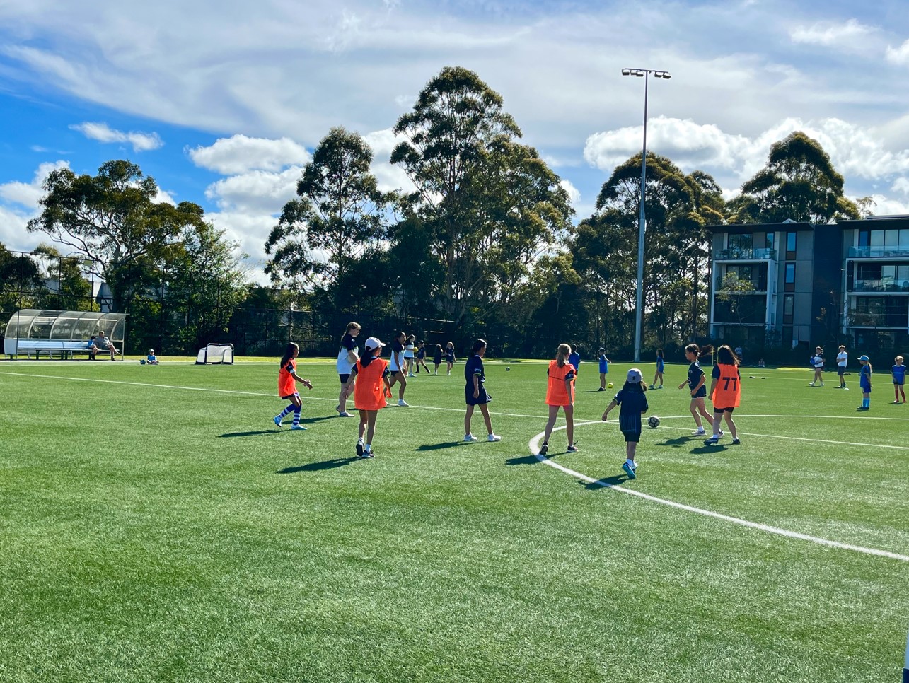 Mini Matildas program aims to attract a wave of new female footballers ...